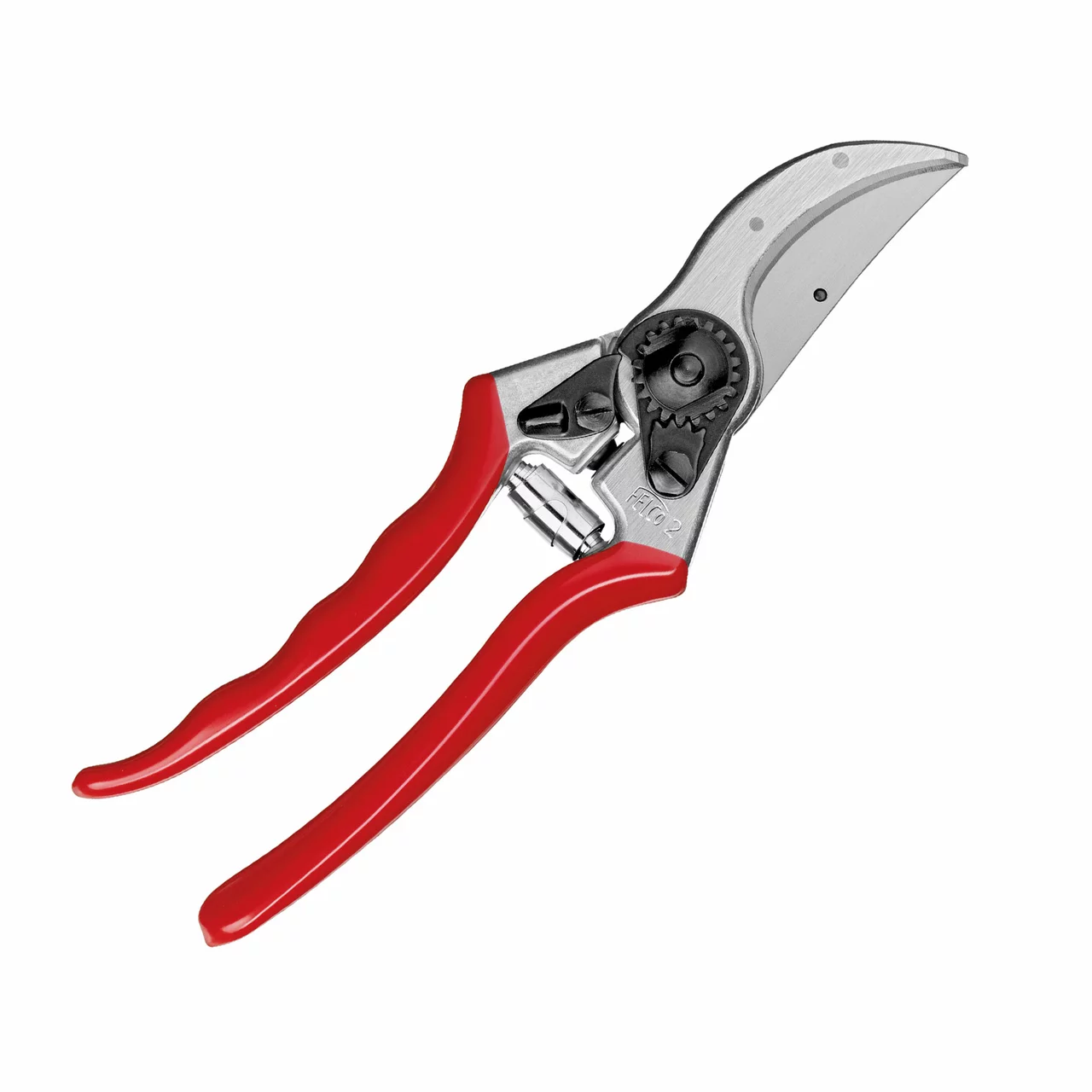 Bio-Apfel «Ladina» – Biologische Apfelbäume in Spindelform