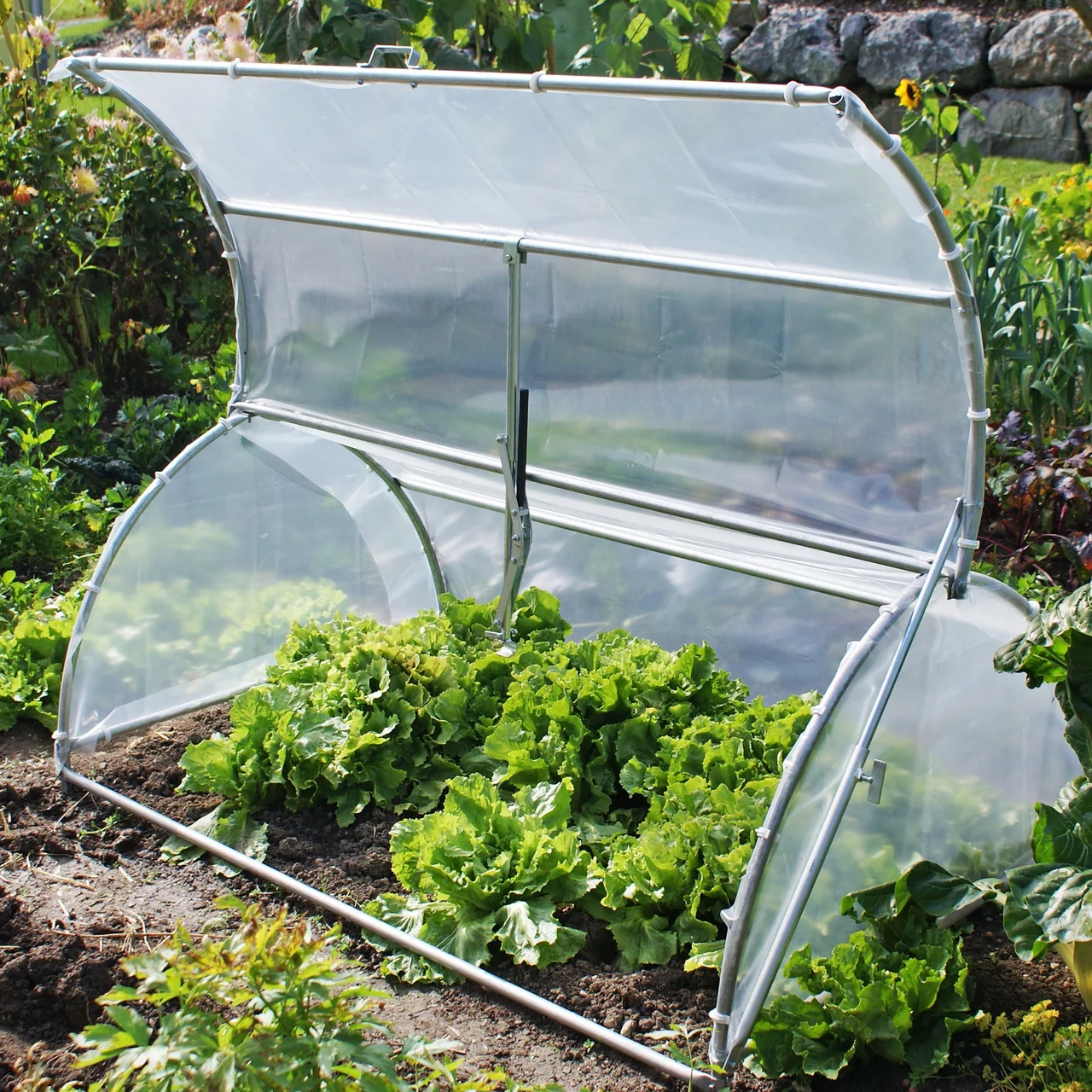 Gartenhaube gegen Frost und Regen – Robuster Witterungsschutz