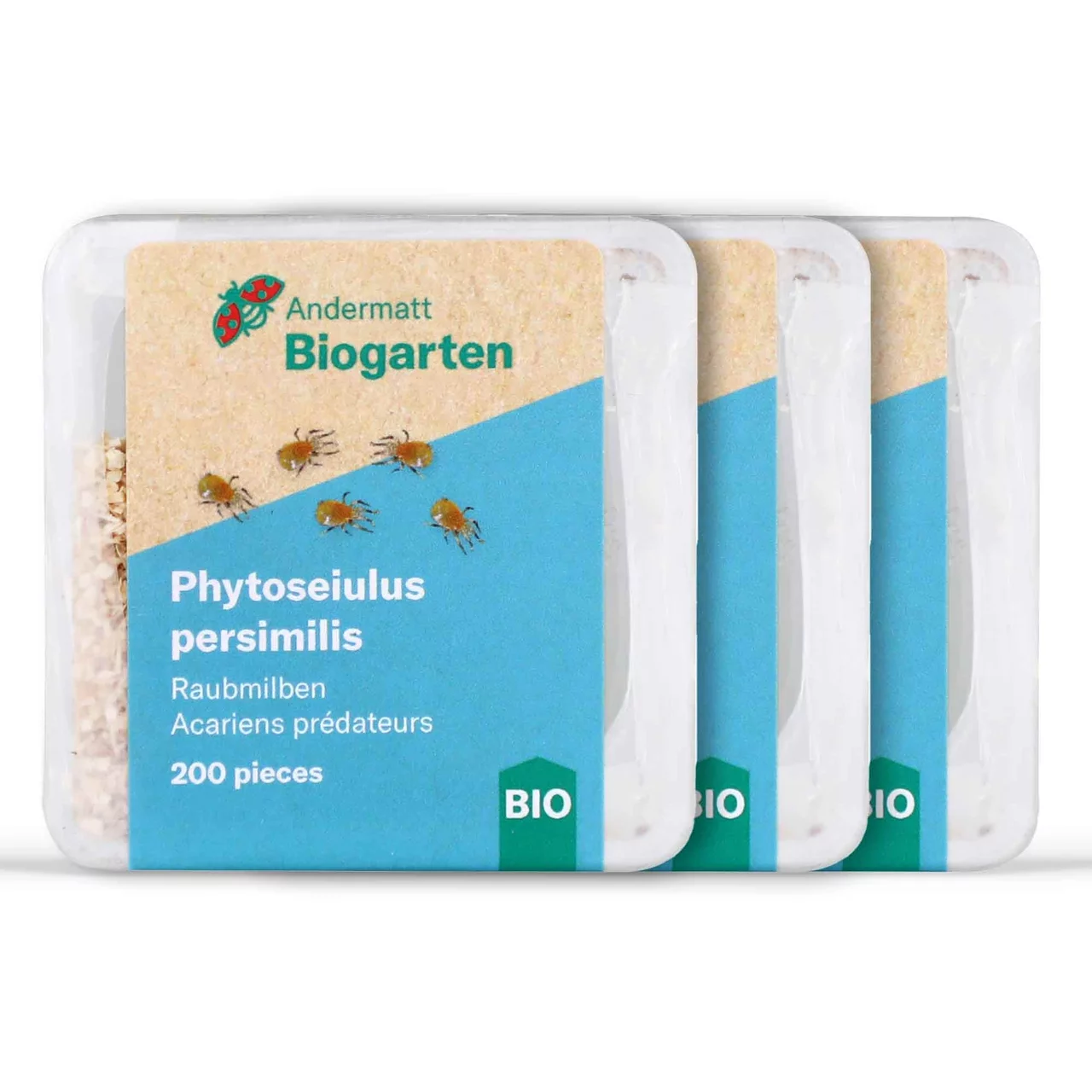 Raubmilben Phytoseiulus – Spinnmilben natürlich bekämpfen