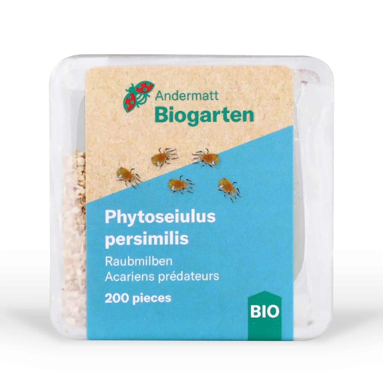 Raubmilben Phytoseiulus – Spinnmilben natürlich bekämpfen