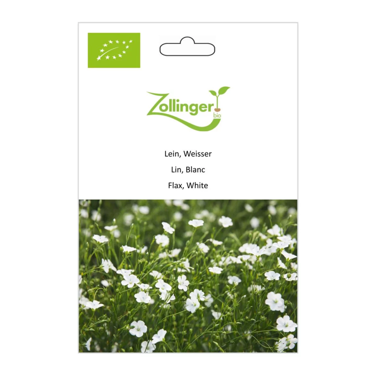 Gemeiner Lein (Flachs), Weisser
