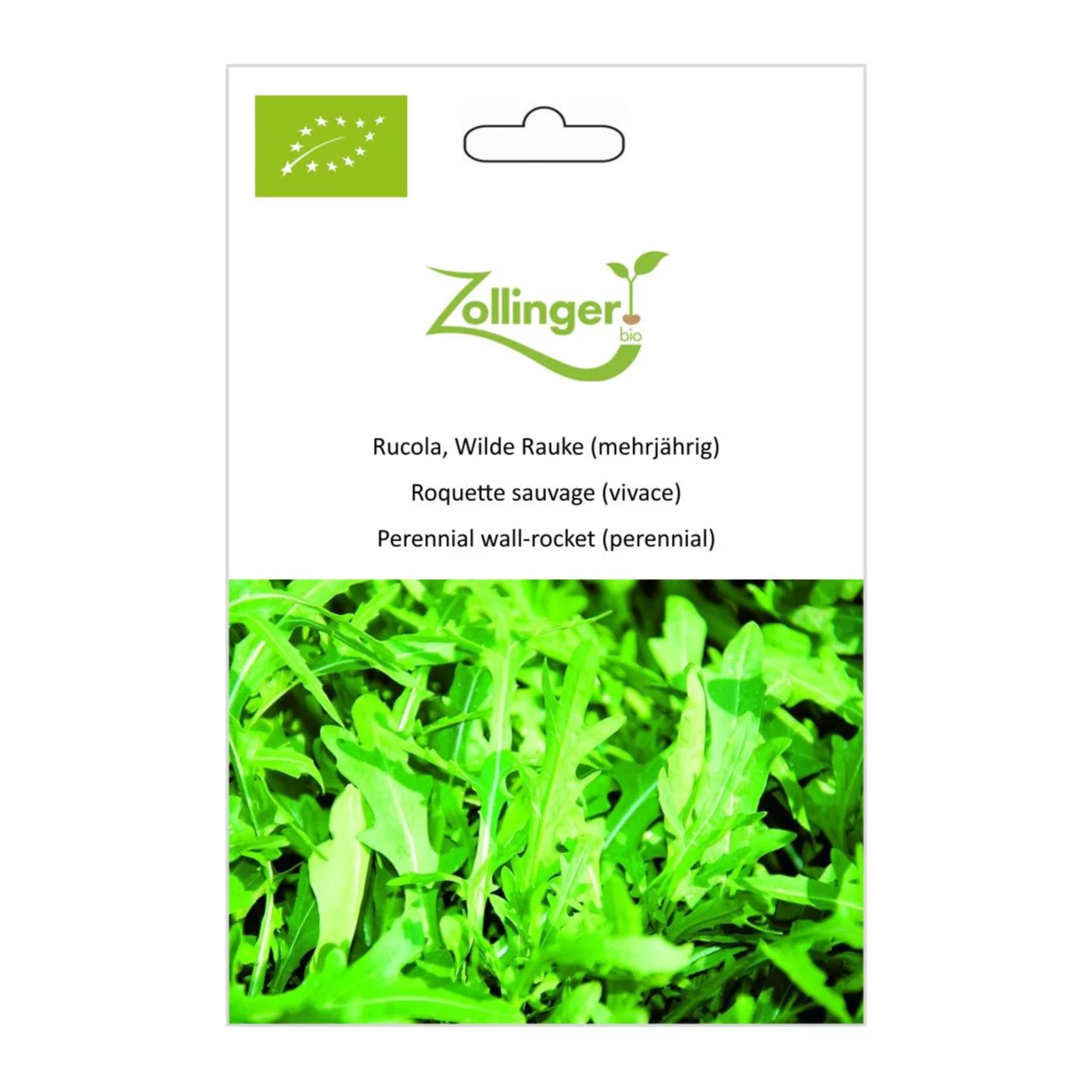 Rucola, Wilde Rauke (mehrjährig)